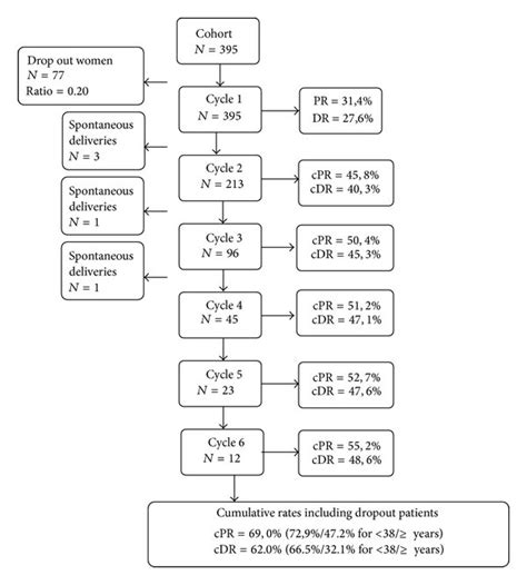A Flowchart Of The Total Cohort Of Women Who Started The First Ivf