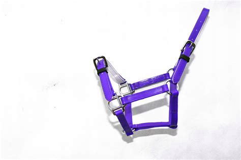 Mini Shetty Niska Cena Na Allegropl