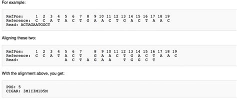 Sam Bam Cram Format Ngs Analysis
