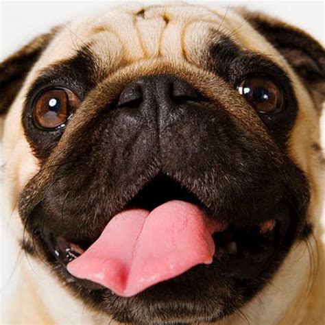 Gavin Nelson Youtube