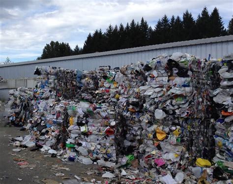 What Is Commingled Recycling Luna Magazine