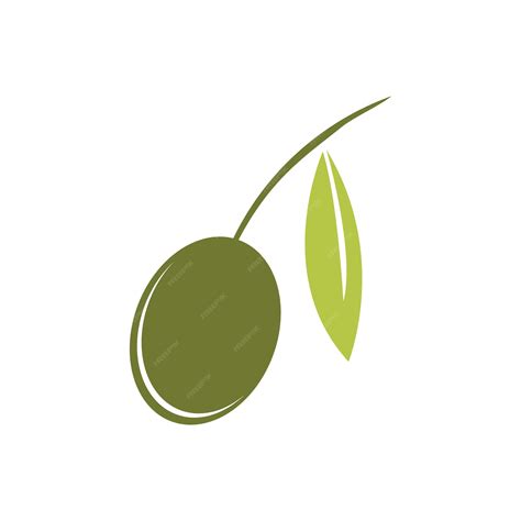 Premium Vector Olive