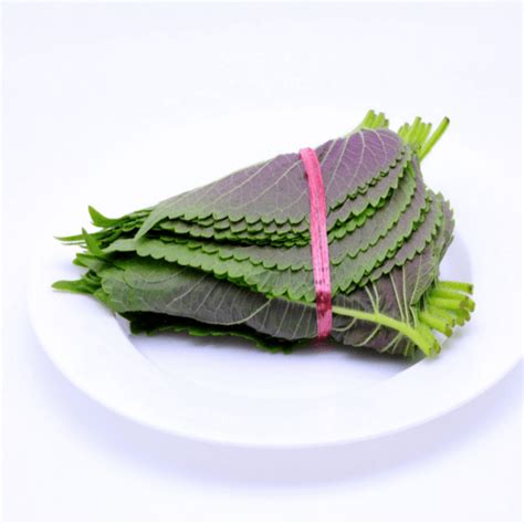 깻잎 세척방법과 보관방법 알아보기