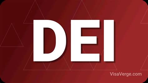 What Are Dei Programs Everything Explained
