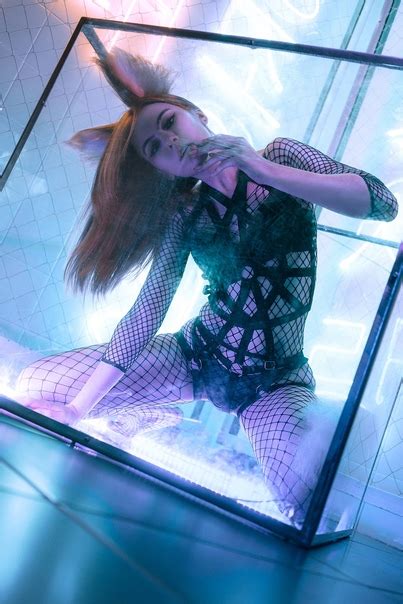 Lisyanfox ВКонтакте