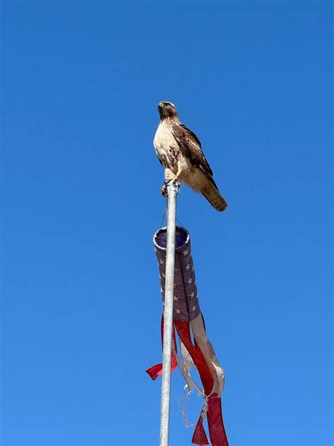 Wing Cube Loading Wcl Sefsd