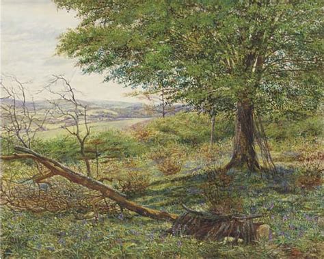 Sarah Setchel Artwork For Sale At Online Auction Sarah Setchel