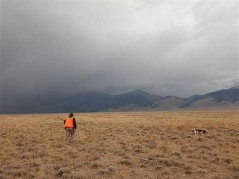 Forbey Wins Research Excellence Award For Contributions To Idaho Science College Of Arts And