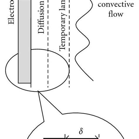 Schematic Representation Of The Diffusion And Boundary Layers At The Download Scientific