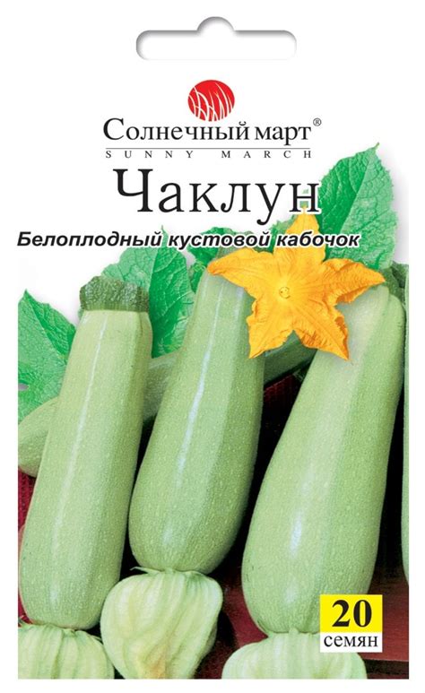 Патиссон и кабачок - ближайшие родственники