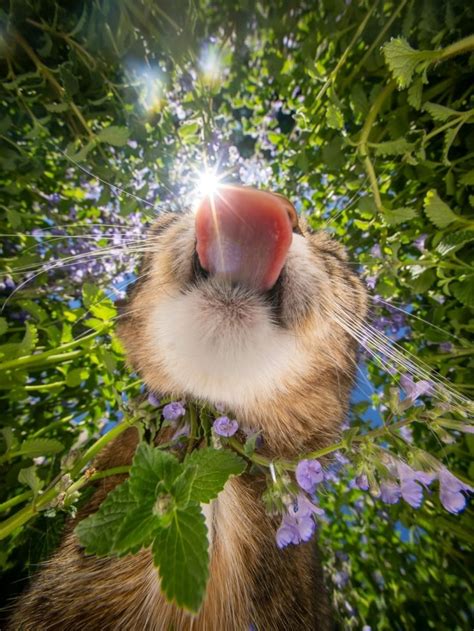 Worms Eye View Funny Pictures And R34 On Joyreactor