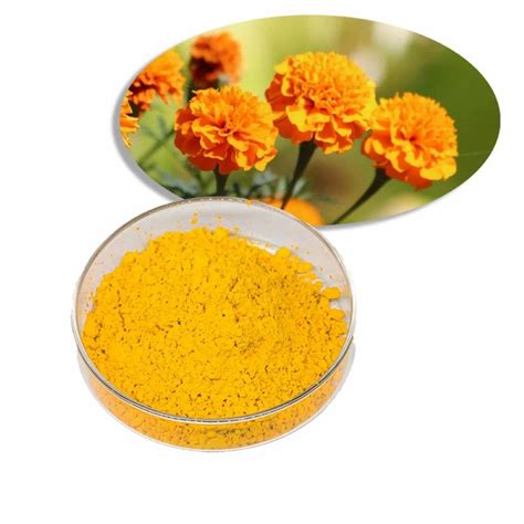 Marigold Extract At ₹ 900 Kg New Delhi Id 12179719530