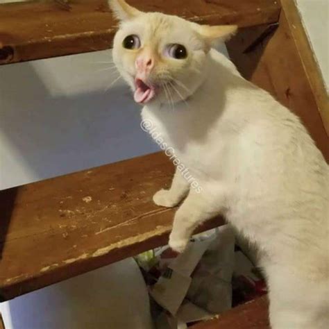 Stream A Music Listen To Songs Albums Playlists For Free On Soundcloud