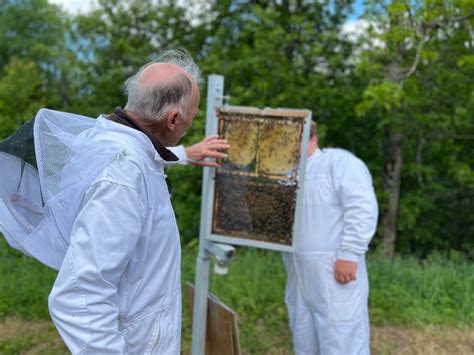 Dette Skjer I Eiker Øvre Eiker Hva Skjer Uke 39 Arrangementer I