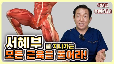 서혜부y존을 풀면 얻는 5가지 유익 전신 혈액순환의 핵심 Youtube