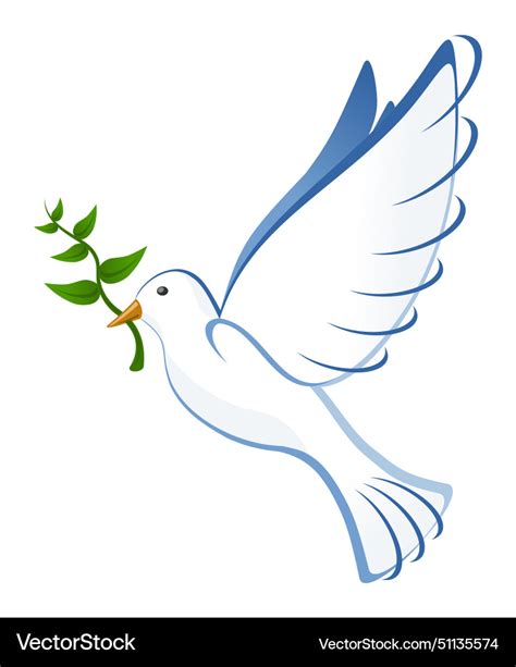 Dove With Leaf Royalty Free Vector Image Vectorstock