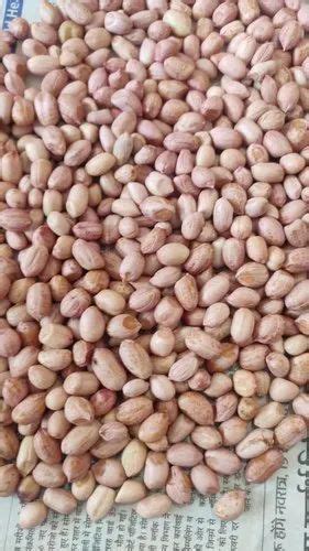 Java Tj Peanut Packaging Size 50kg At ₹ 85 Kg In Sikar Id 22616070430