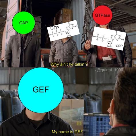 Little Gtpase Meme I Made Scrolller