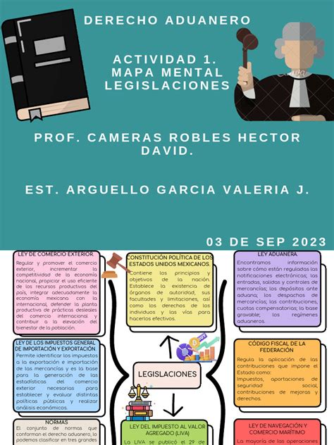 Mapa Conceptual A1 Pdf Aduana Arancel