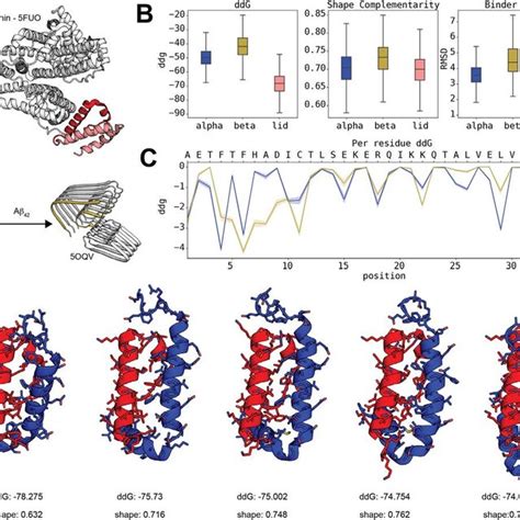 Structural In Silico Analysis Of Aβ 1 42 Interaction With The Cterm A Download Scientific