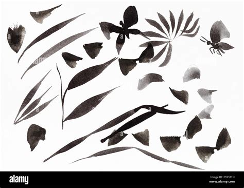Training Drawing In Sumi E Suibokuga Style Brush Strokes Shaped Leaves And Butterflies By