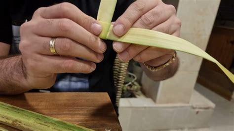 בשידור חי מופע קסמים עם ויטלי שפרנסקי חסידיטיוב