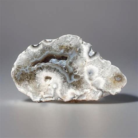 Argentina Agate Slab Rare Coral Agate Polished Slice Etsy