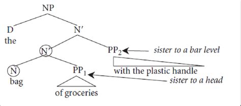 1 Tree Diagram Complements Versus Adjuncts Carnie 2008 P 121