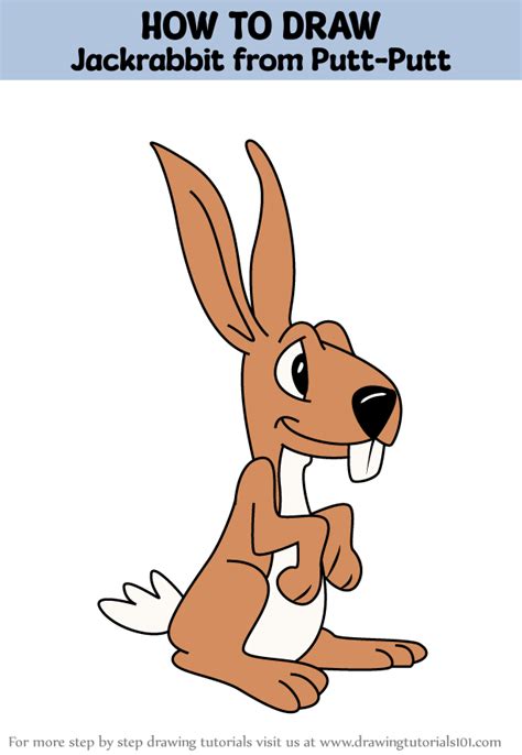 How To Draw A Jackrabbit