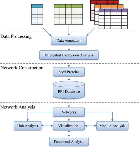 Figure 1 From Networkanalyst Integrative Approaches For Protein