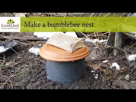 How To Make A Bumblebee Nest Coed Lleol Small Woods Wales Youtube