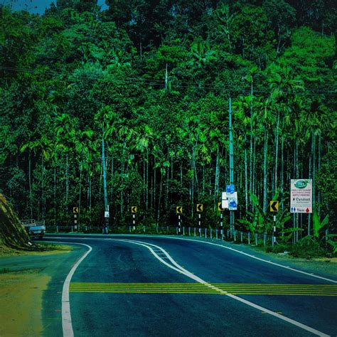Difference Between National Park Wildlife Sanctuary Biosphere Reserve