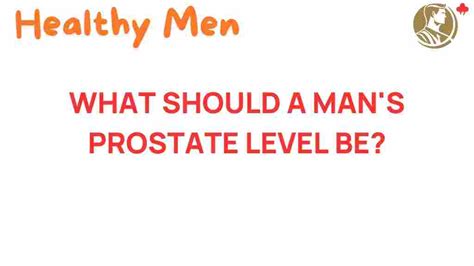 Understanding Prostate Levels What Every Man Should Know