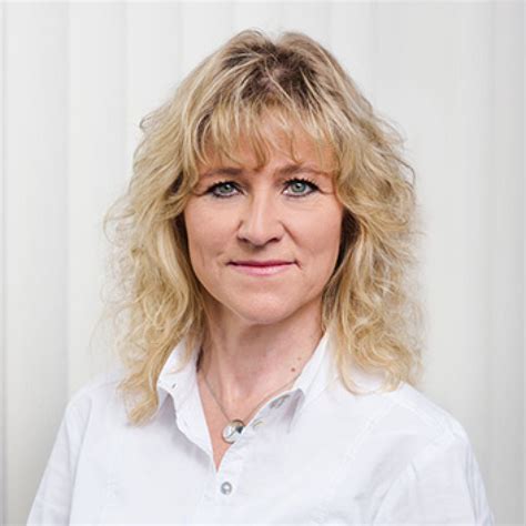 Dampf Drache Dampf Drache Für Gewerbe