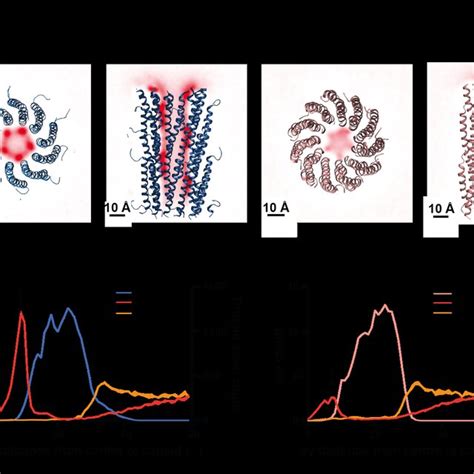 Figure S1 Cryo Em Structure Of The Bacteriophage Fd At 32 Å Download Scientific Diagram