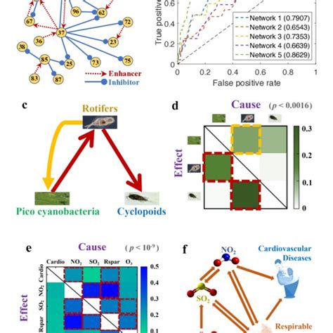 Direct Versus Indirect Causal Links A There Is Directional Interaction
