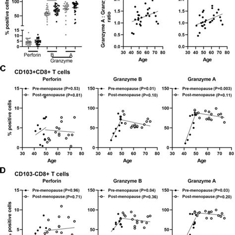 Aging Differentially Regulates Intracellular Cytotoxic Molecules In Em Download Scientific