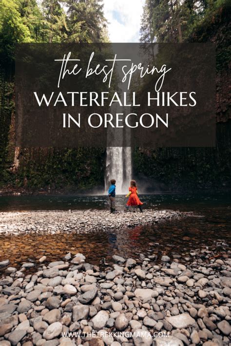 12 Best Oregon Waterfall Hikes Complete Guide To Springs Most