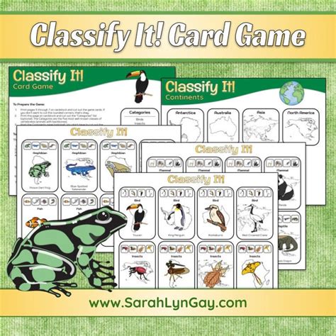 Classify It Card Game Instant Download Stem Workbook Digital Etsy