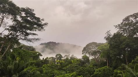 [video] Samuel Jegede Posted On Linkedin