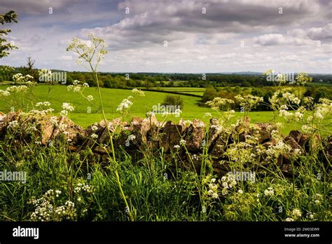 Cotswold National Landscape Is A Series Of Walking Paths Open To The
