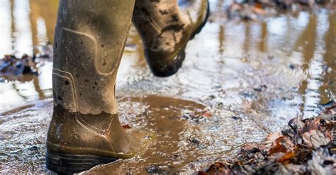 Solutions For Muddy Yard At Danita Foster Blog