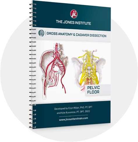 About Gross Anatomy And Cadaver Dissection