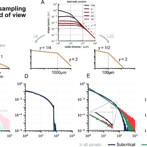 The Signal Of An Extracellular Neuronal Recording Depends On Neuronal Download Scientific