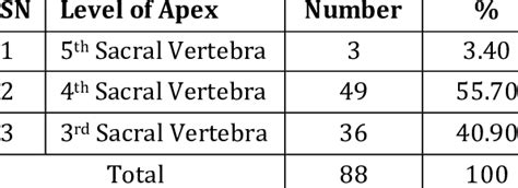 Level Of Apex Of Sacral Hiatus With Respect To Level Of Sacral Vertebra Download Scientific