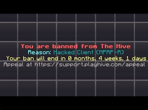 I Got Banned From The Hive Youtube