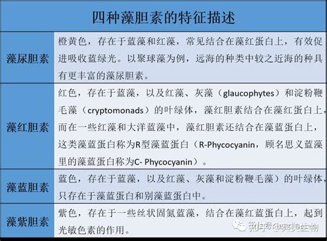 藻蓝蛋白的自我介绍 知乎