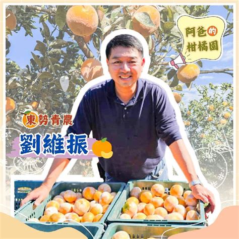 關於我們 阿爸的柑橘園