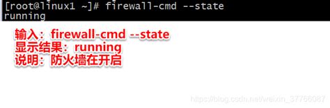 Linux下ssh免密远程登录的图文配置过程：从虚拟机克隆linux系统到免密登录全过程详解linux免密克隆机 Csdn博客