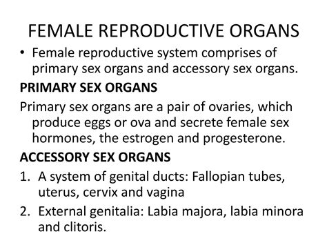 Female Reproductive System Pptx